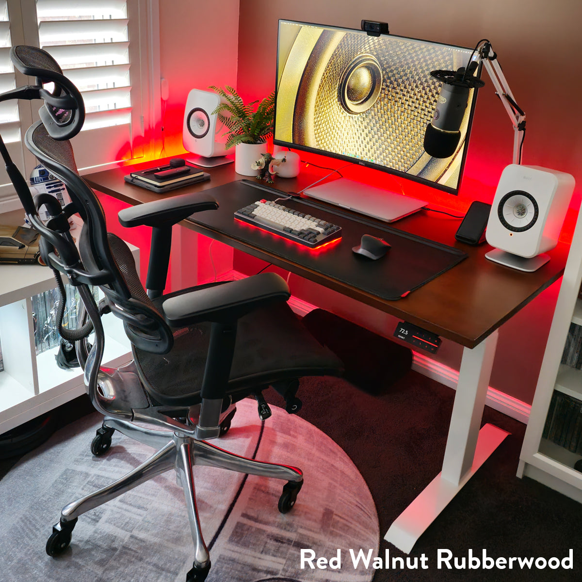 Desky Dual Rubberwood Sit Stand Desk - Desky USA